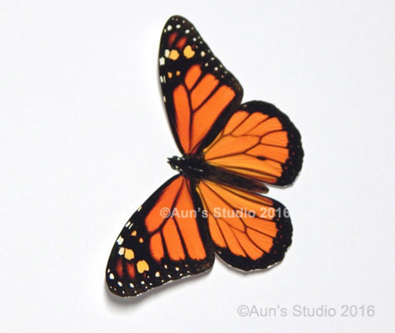 Paper Butterfly cut outs 5 Monarch Butterflies | Etsy