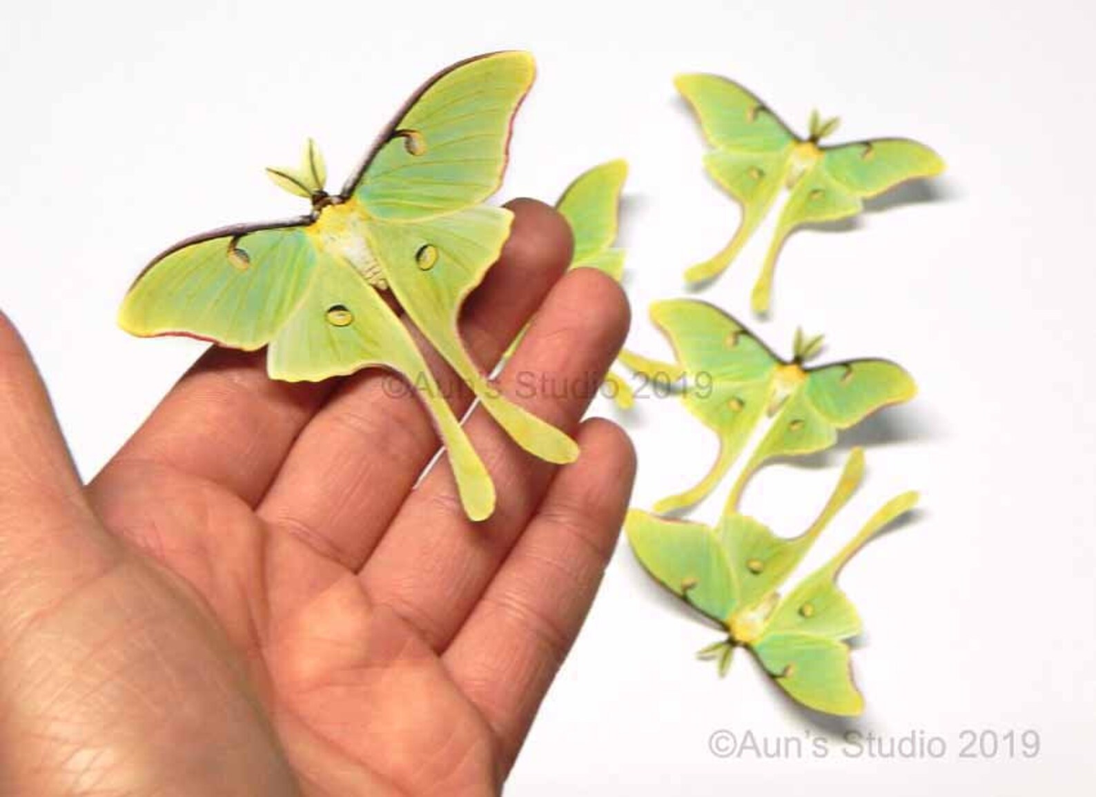 Medium Luna Moth Paper Cutouts, Realistic Paper Moths, 5 Pieces, One ...