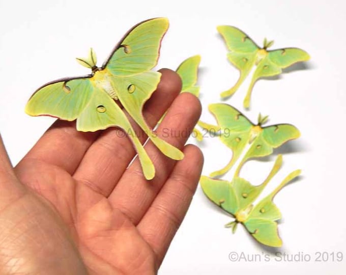 Medium Luna Moth Paper Cutouts, Realistic Paper Moths, 5 Pieces, One ...