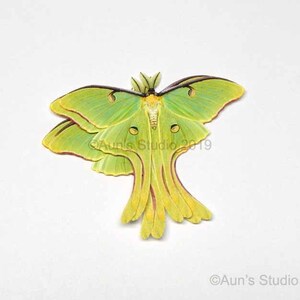 Medium Luna Moth Paper Cutouts, Realistic Paper Moths, 5 Pieces, One ...