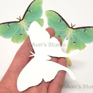 Life-like Paper Luna Moth Cutouts - Female Moths Set of Three - Etsy