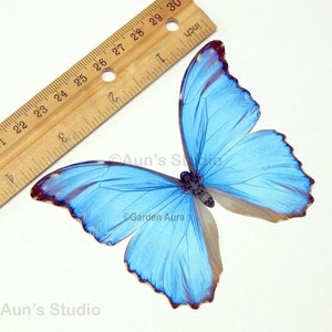 Light Blue Paper Butterflies 10 Pieces Single Sided Cutouts - Etsy
