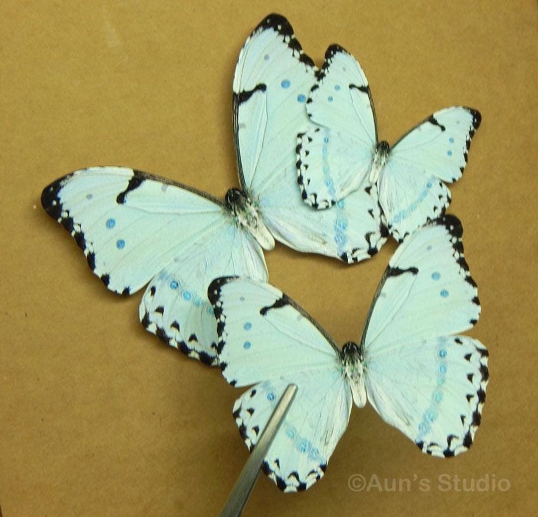 Light Blue Paper Butterflies for Decoration - Etsy