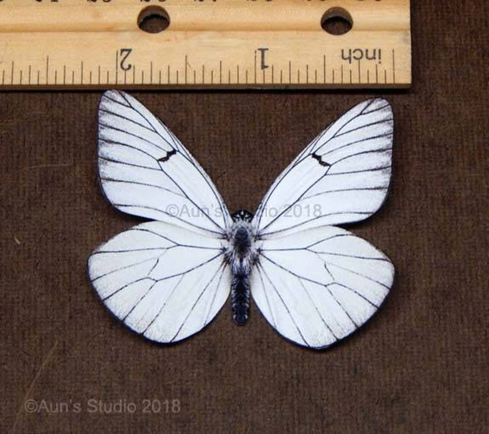 White Paper Butterflies Realistic Paper Butterfly Cutouts 5 - Etsy