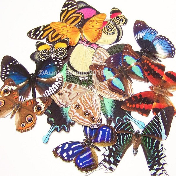 Fake Butterflies - Etsy