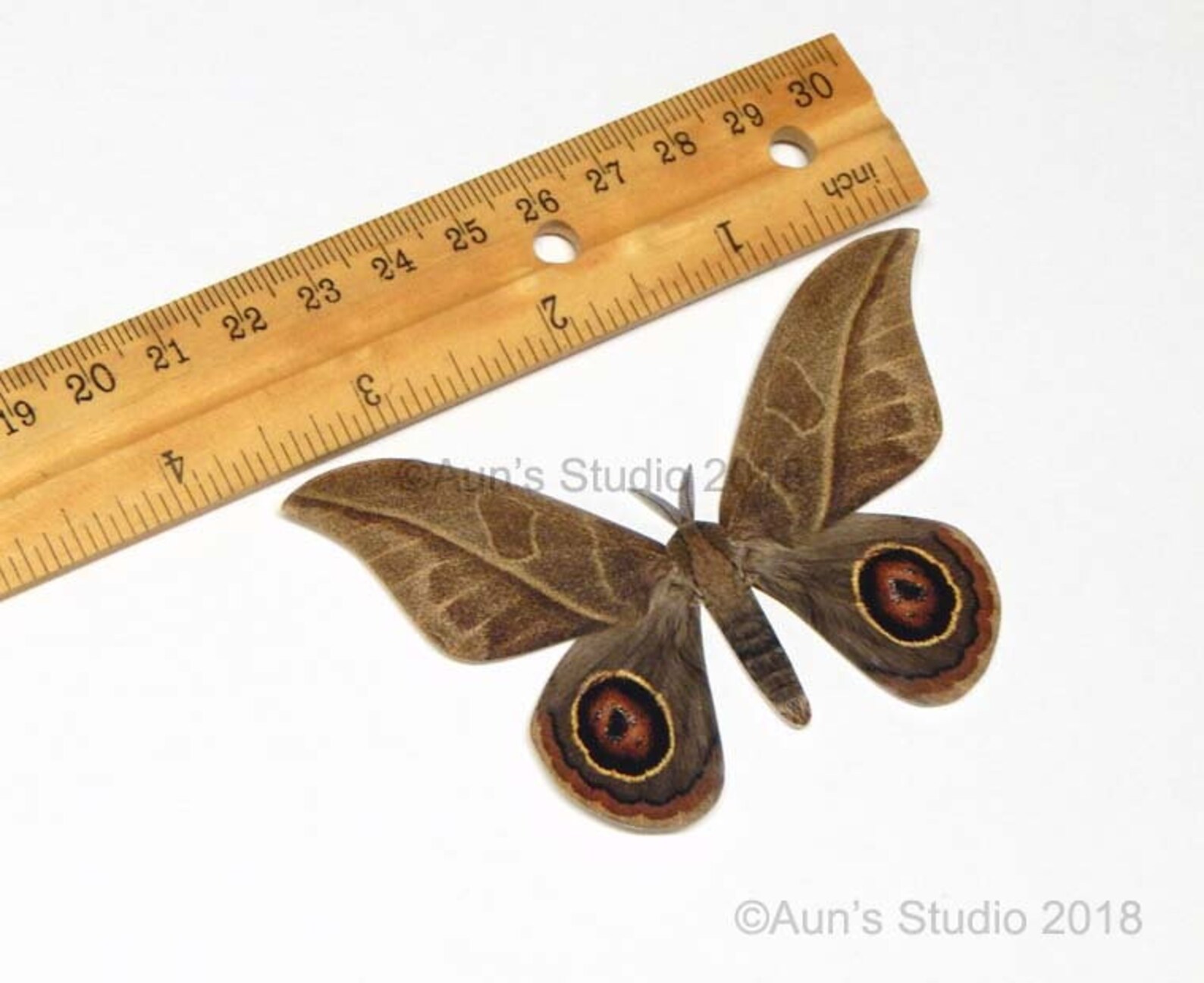 Realistic Brown Paper Moth Cutouts for Wall Decor, Double Sided - Etsy