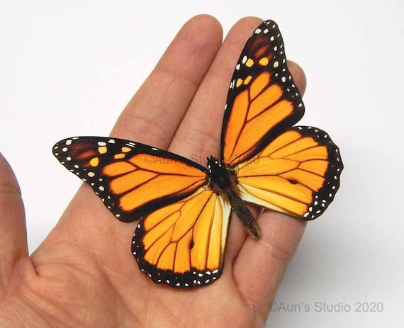 Monarch Butterfly Large Paper Cutouts 3 Pieces - Etsy