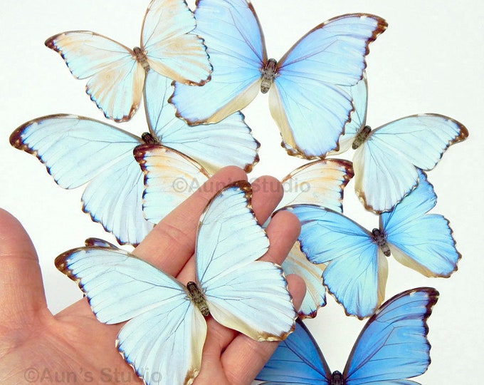 Blue Butterfly Paper Cutouts Realistic Morpho Butterfly Mockup, 4 ...