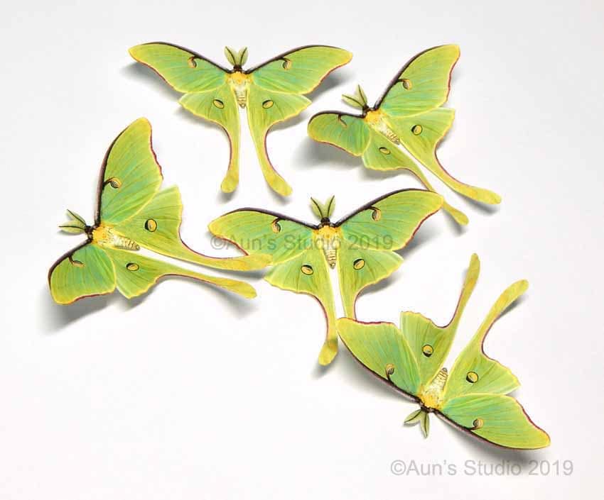 Medium Luna Moth Paper Cutouts, Realistic Paper Moths, 5 Pieces, One ...