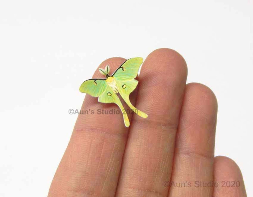Luna Moth Mini Paper Cutouts, 5 Pieces - Etsy