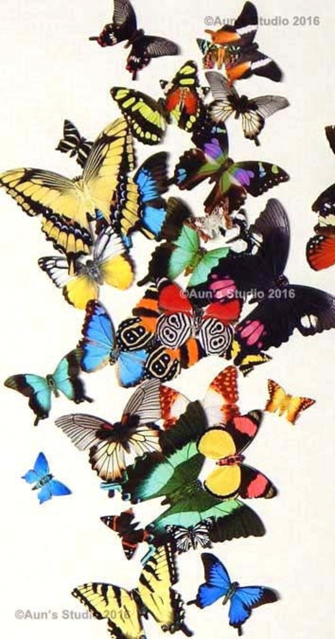 50 Small and Tiny Paper Butterflies Mix of Colors and Sizes - Etsy