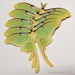 Luna Moth, Luna Moth Paper Cutouts, Realistic Paper Moths, 5 Pieces - Etsy