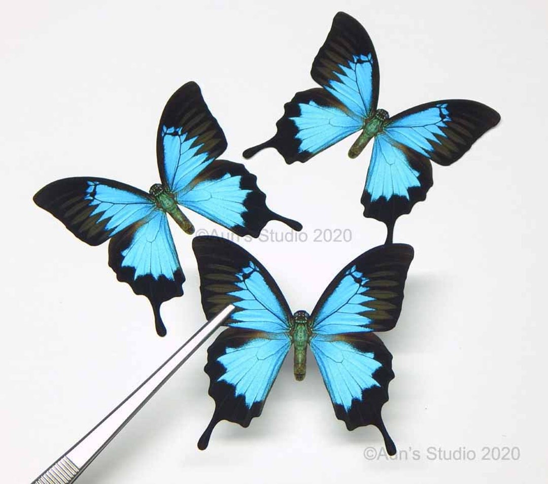 Blue and Black Paper Butterflies, DOUBLE SIDED, 3 Pieces - Etsy