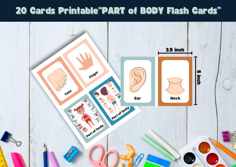 Printable Body Parts Flash Cards for Kids – 20 Visual Learning Cards ...