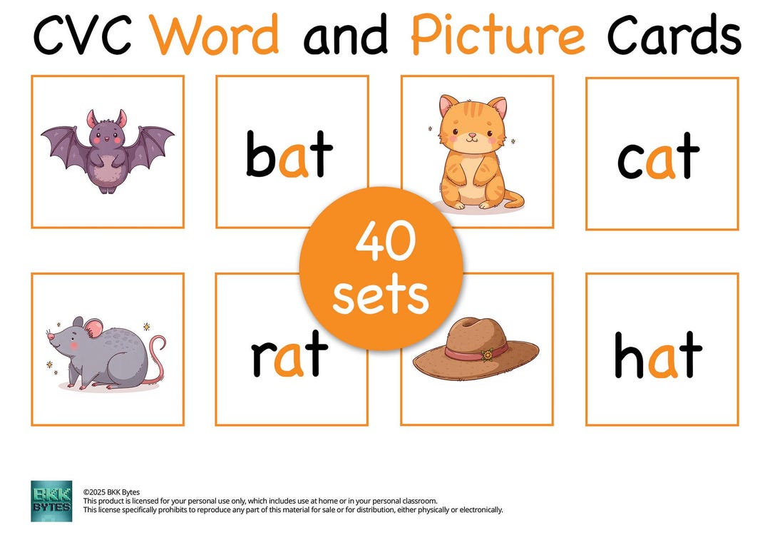 CVC Word and Picture Matching Activity (set of 40) - Etsy