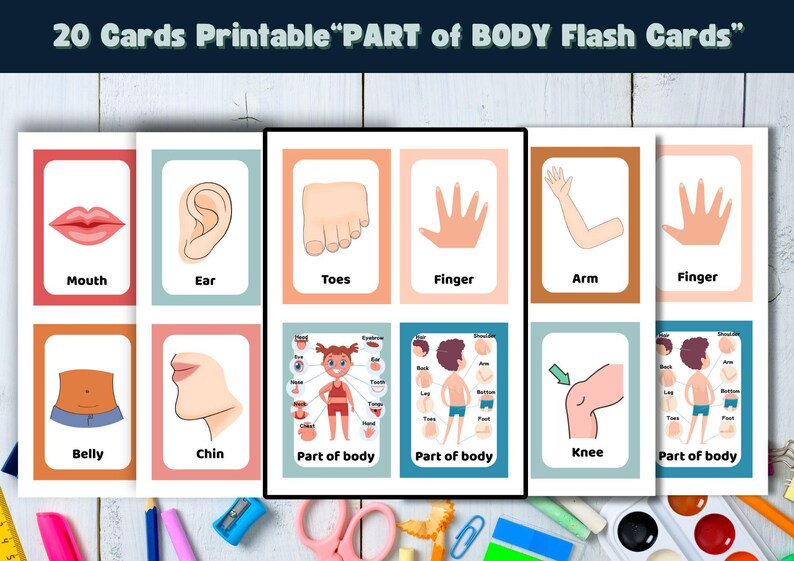 Printable Body Parts Flash Cards for Kids – 20 Visual Learning Cards ...