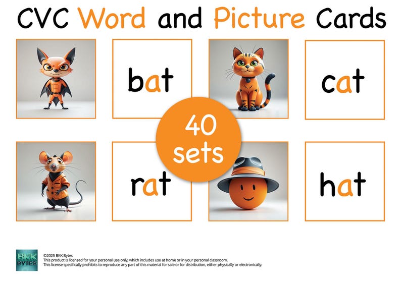 CVC 3D Word and Picture Matching Activity (set of 40) - Etsy