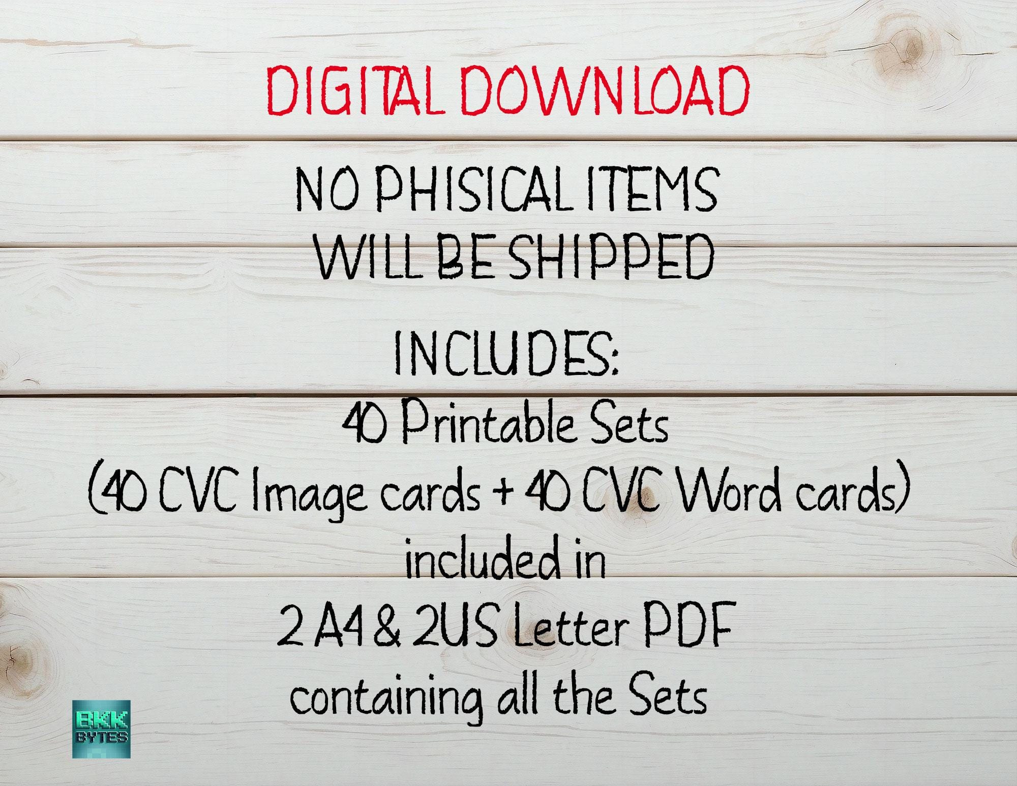 CVC 3D Word and Picture Matching Activity (set of 40) - Etsy