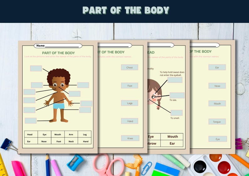 Parts of the Body Worksheets for Kids - Etsy
