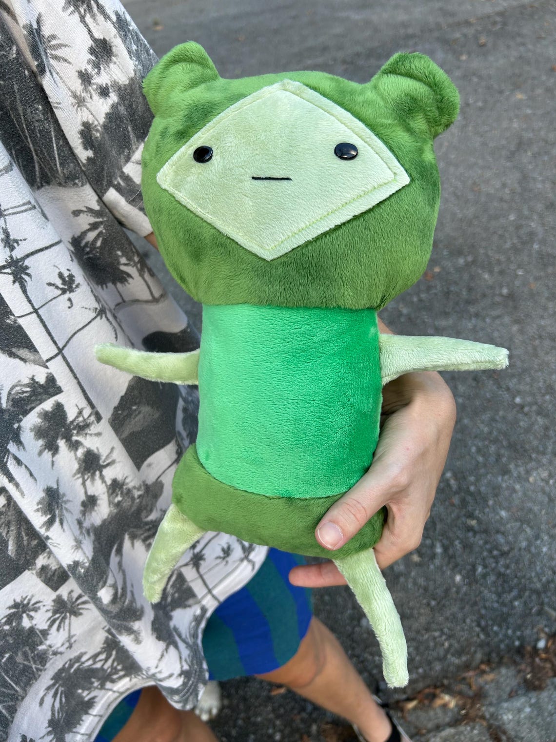 Fern Adventure Time Plush - Etsy