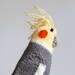Cockatiel Knitting Pattern Cute Bird Knitting Pattern - Etsy UK