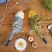 Parakeet Knitting Pattern - Green and Blue Budgie Knitting Pattern ...