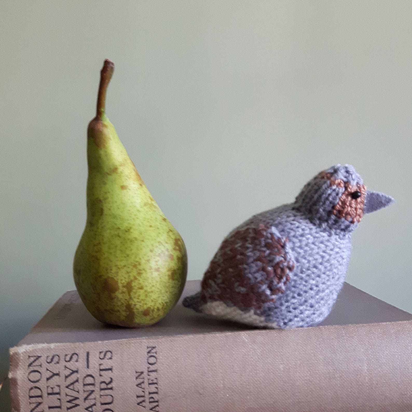 Noel the Partridge Knitting Pattern Bird Knitting Pattern | Etsy