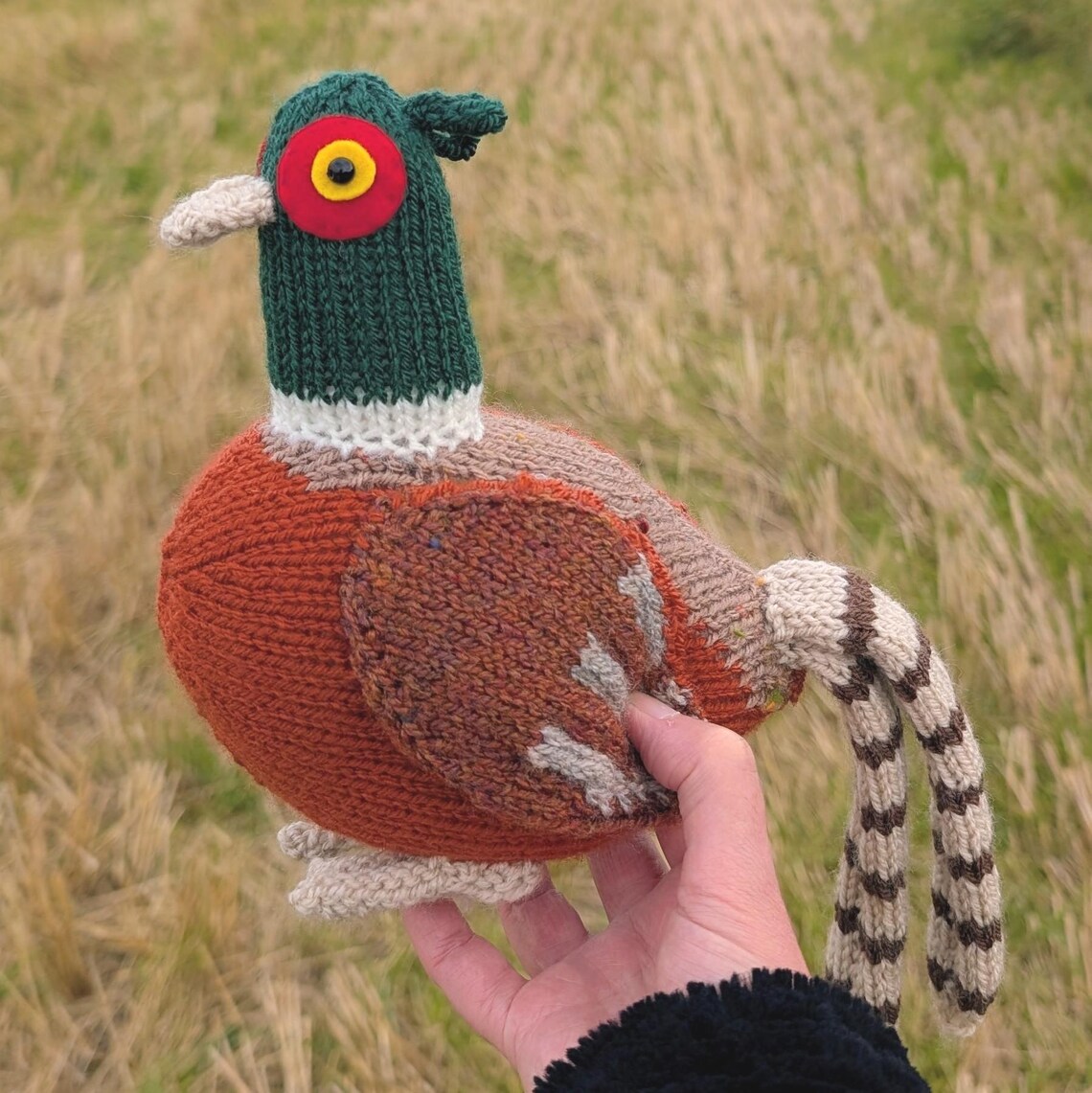 Angus the Pheasant Knitting Pattern - Easy Bird Knit for Beginners - Etsy