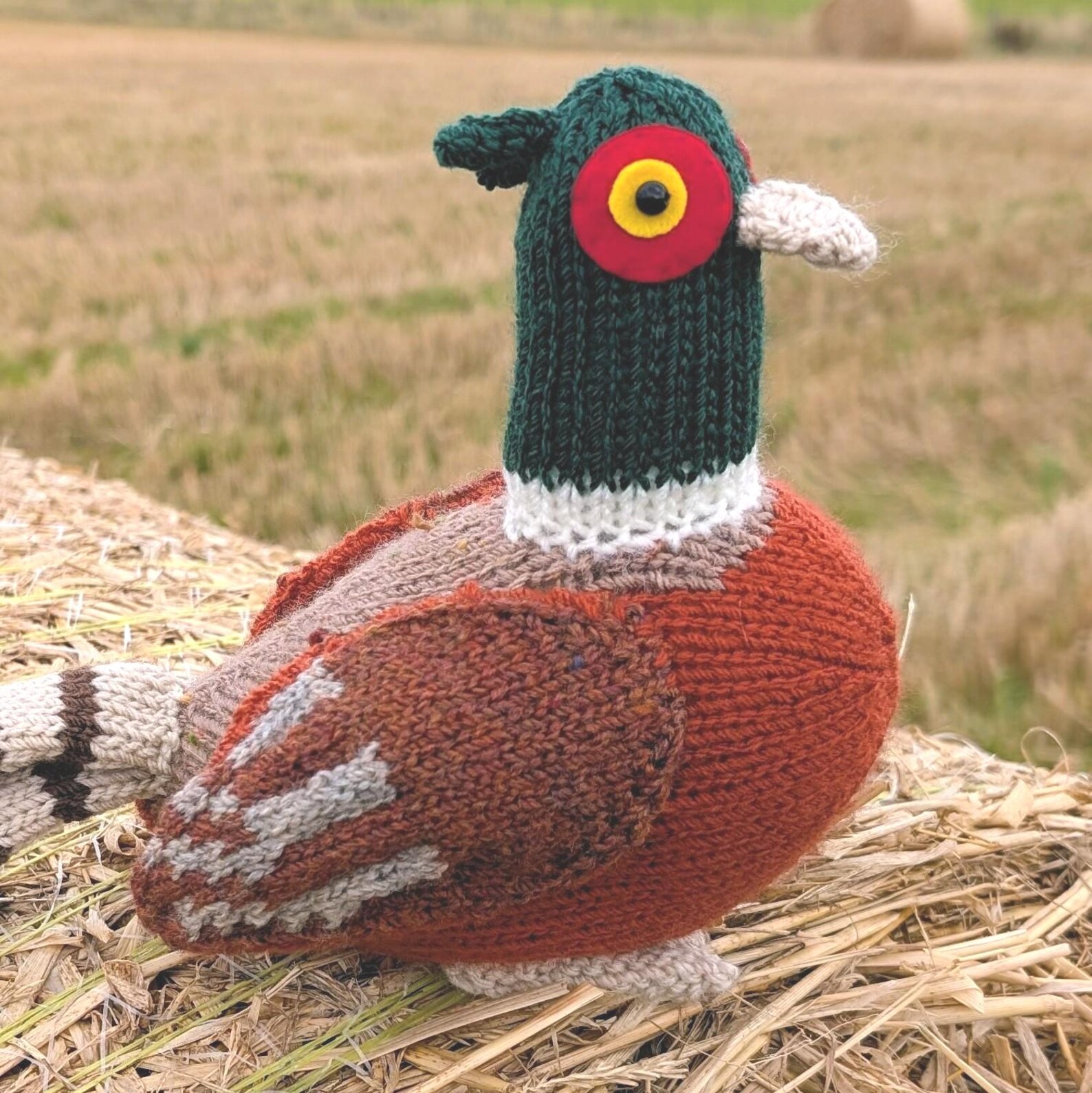 Angus the Pheasant Knitting Pattern - Easy Bird Knit for Beginners - Etsy