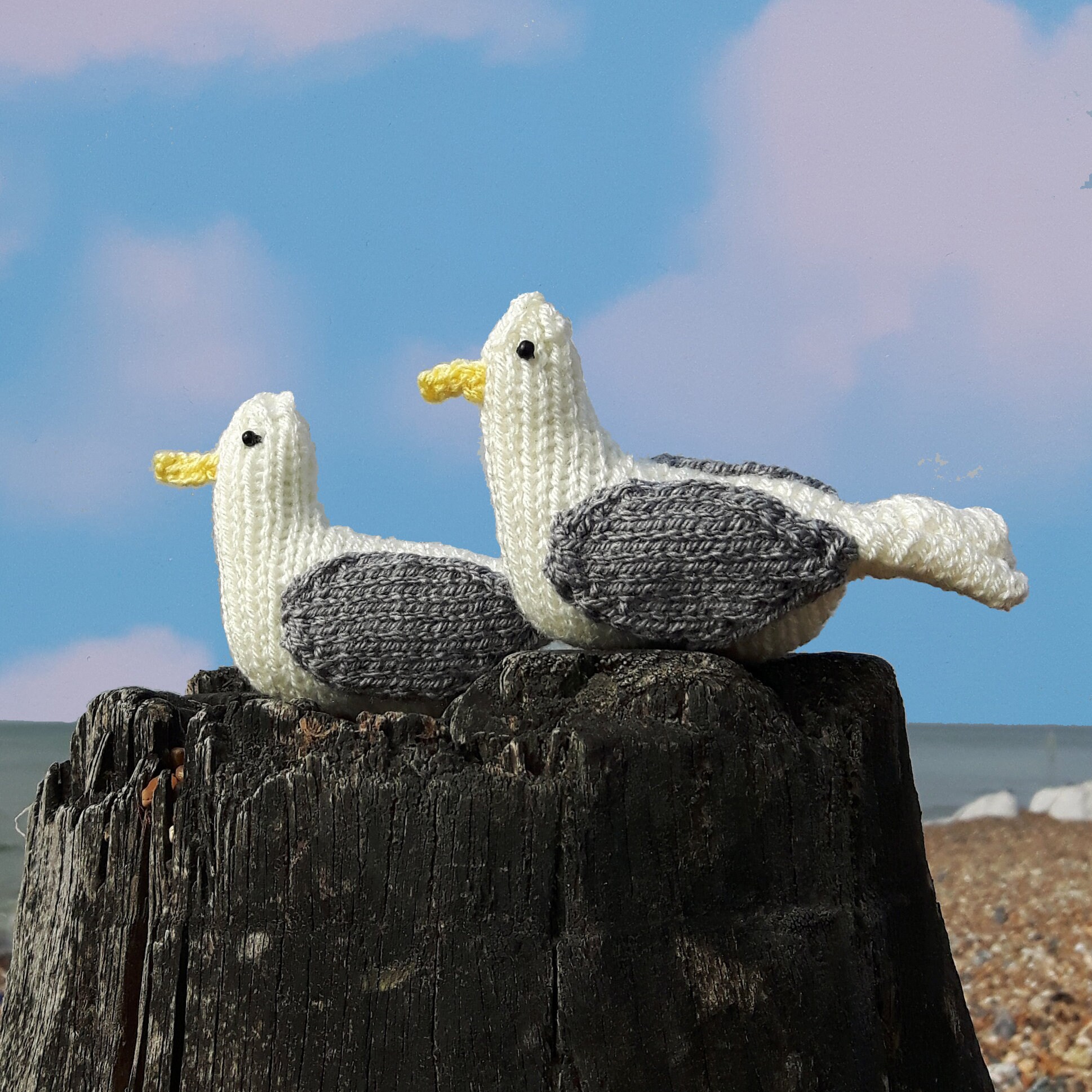 Seagull Knit Kit Jeff the Gull All You Need to Knit 2 | Etsy