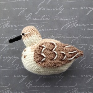 Western Sandpiper Knitting Pattern - Both Sitting and Flying Wading ...