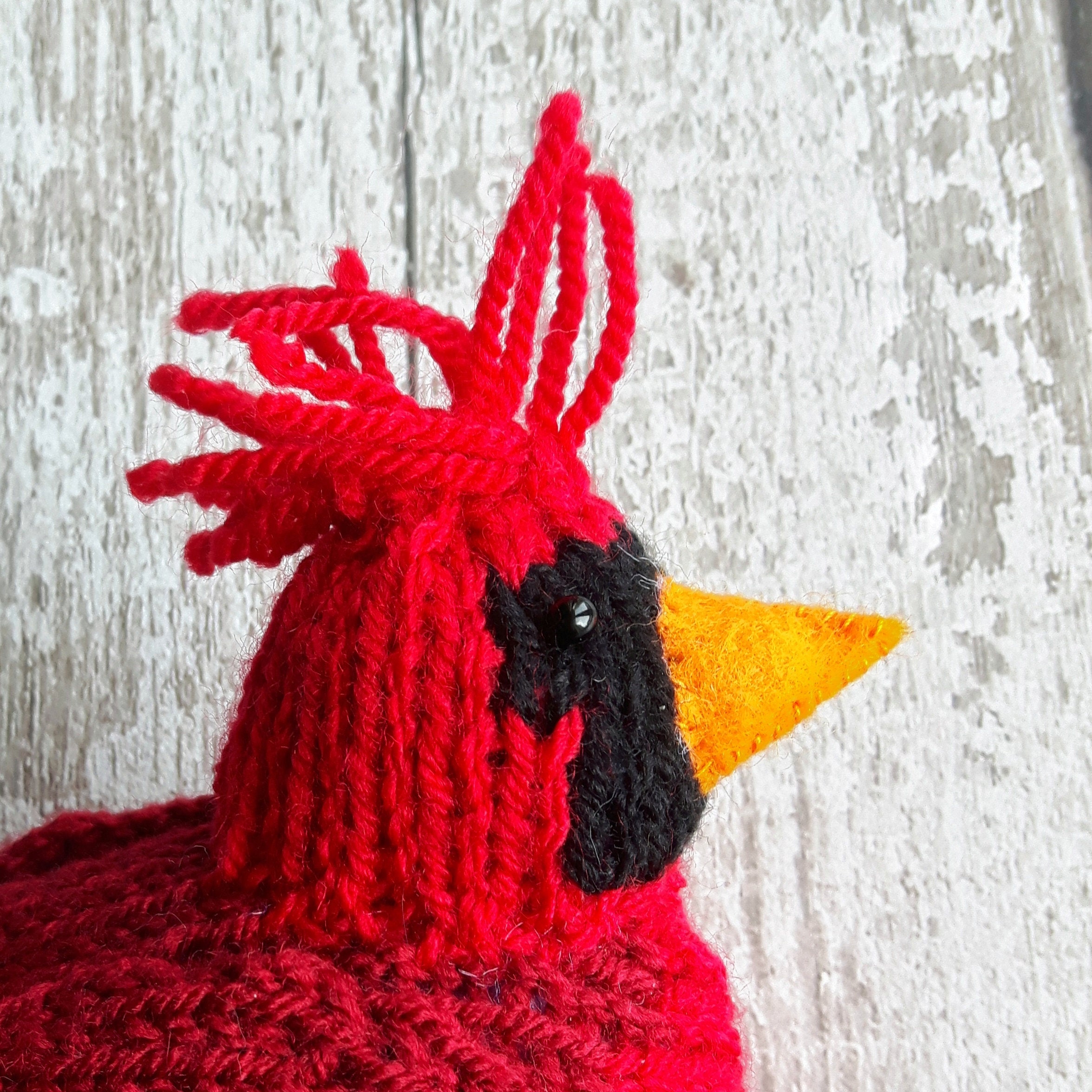 Northern Cardinal knit kit cute cardinal knit kit with bird | Etsy