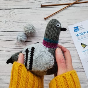 Pigeon Knit Kit - All You Need to Knit a Cute Pigeon - Bill the Pigeon ...