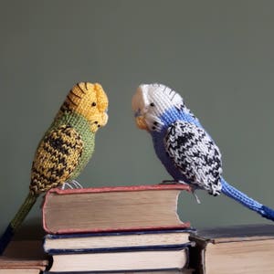 Parakeet Knitting Pattern - Green and Blue Budgie Knitting Pattern ...
