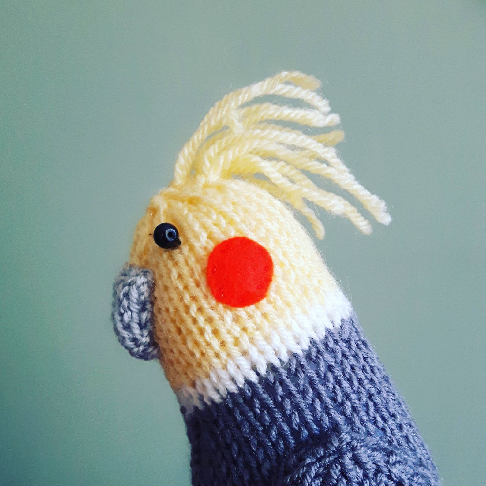 Cockatiel Knitting Pattern - Cute Bird Knitting Pattern - Jarvis ...