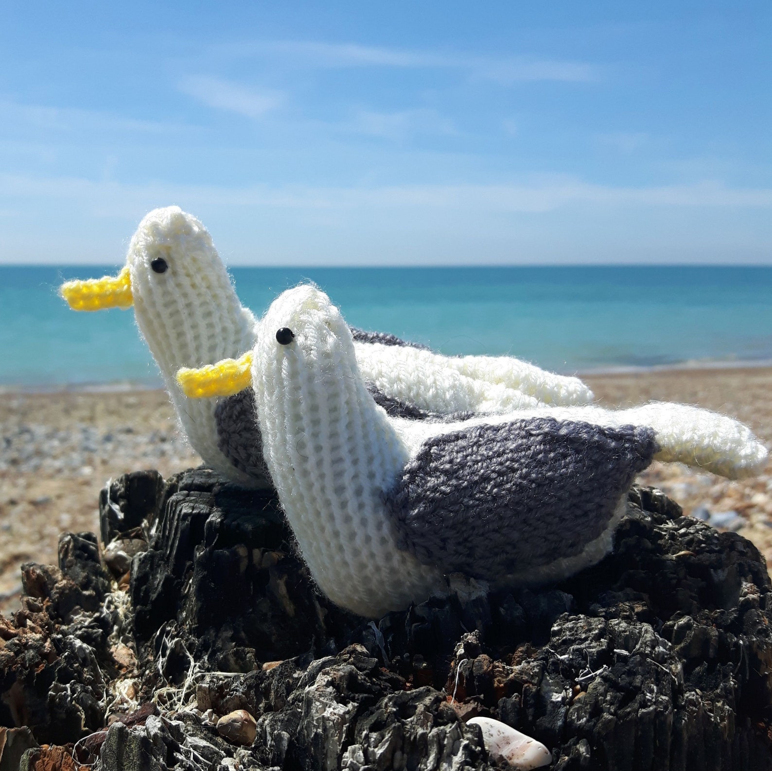 Jeff the Seagull Knitting Pattern Small Herring Gull - Etsy