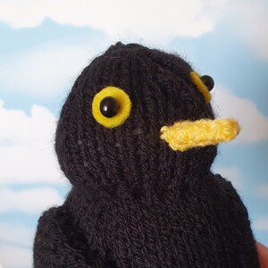 Blackbird Knitting Pattern - Sid the Blackbird - Cute Cuddly and Easy ...