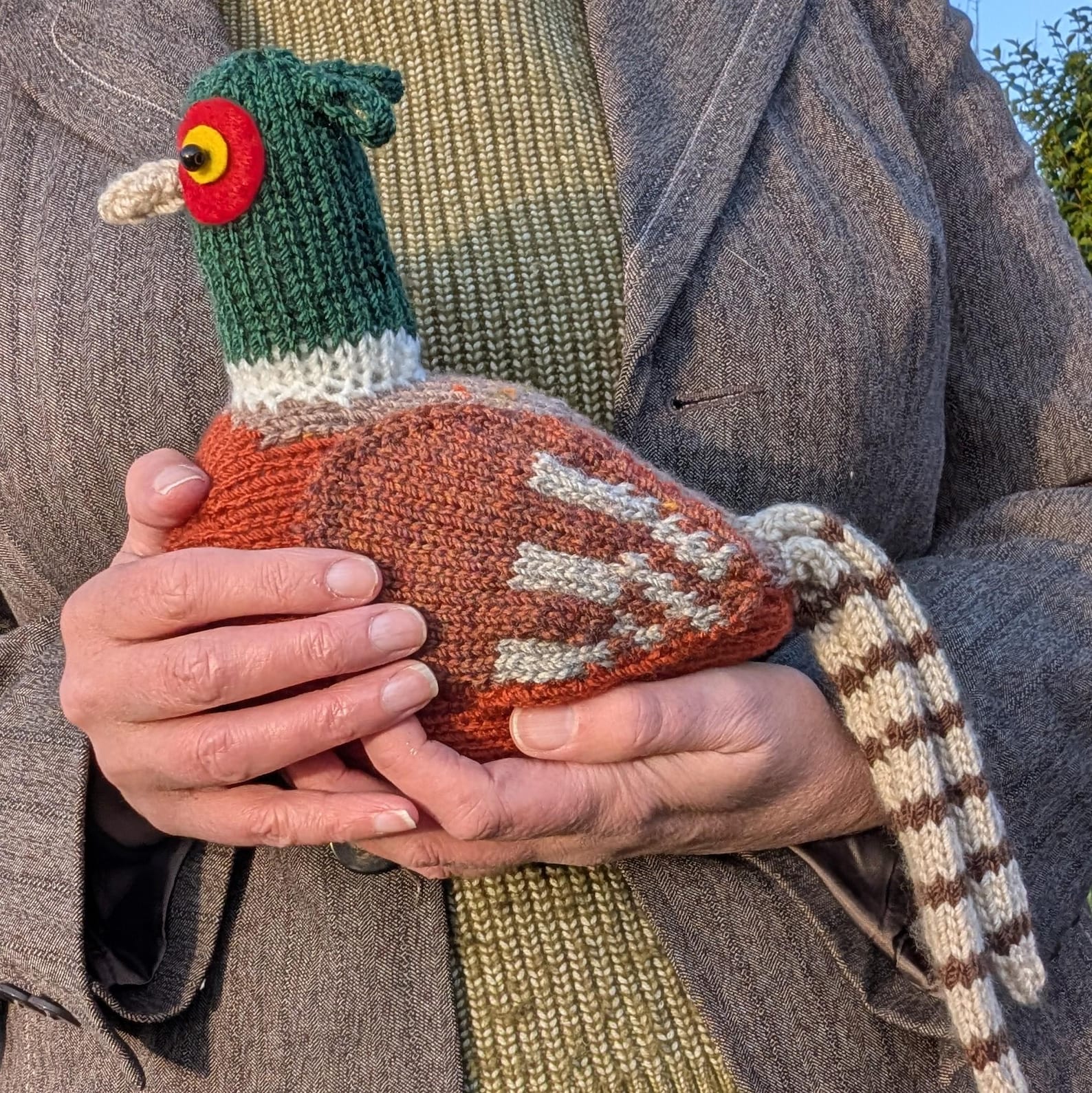 Angus the Pheasant Knitting Pattern - Easy Bird Knit for Beginners - Etsy