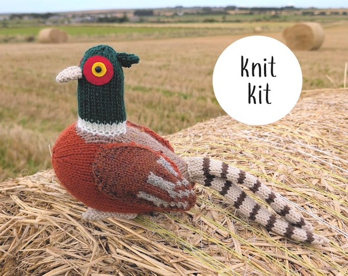Parakeet Knitting Pattern - Green and Blue Budgie Knitting Pattern ...