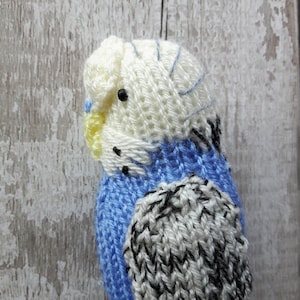 Parakeet Knitting Pattern - Green and Blue Budgie Knitting Pattern ...