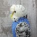 Parakeet Knitting Pattern - Green and Blue Budgie Knitting Pattern ...