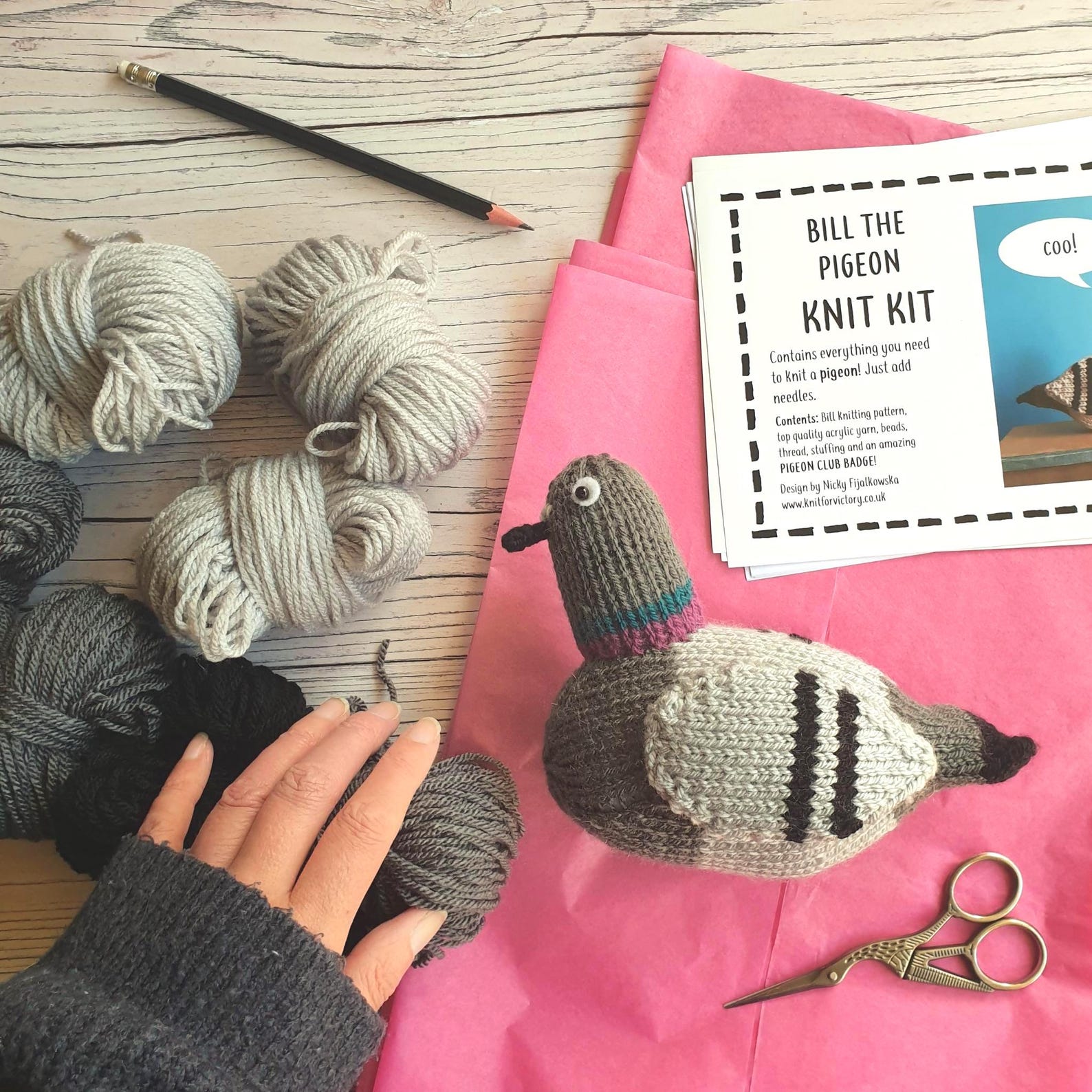 Pigeon Knit Kit - All You Need to Knit a Cute Pigeon - Bill the Pigeon ...