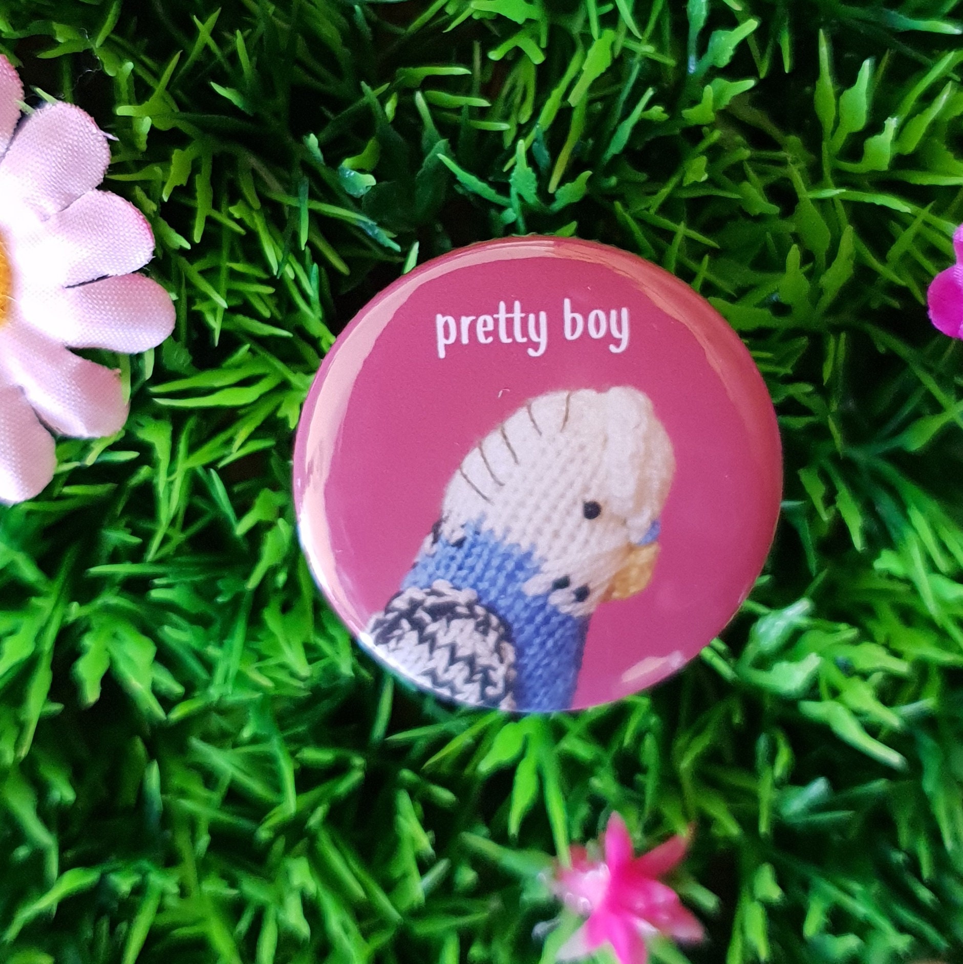 Parakeet Knit Kit Sparky the Budgie Knit Kit Cute Parakeet | Etsy