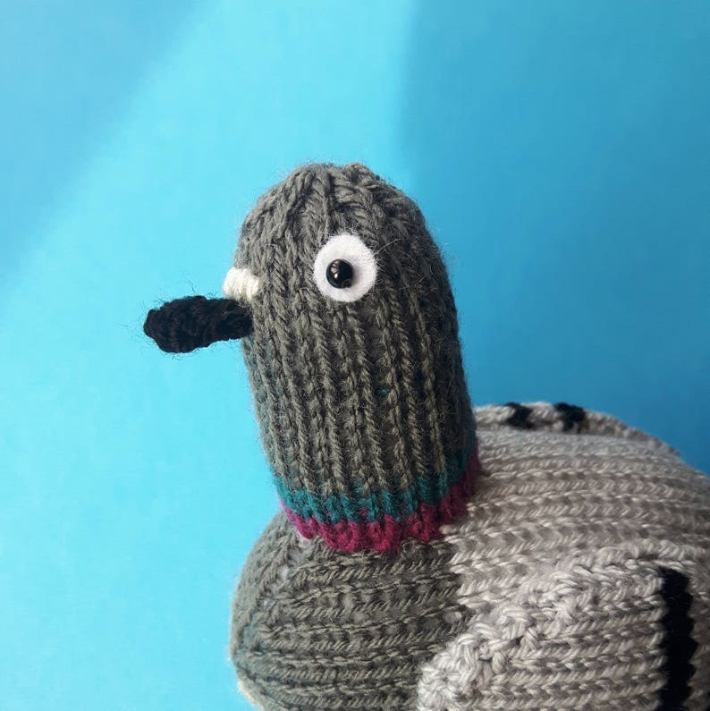Pigeon Knit Kit All You Need to Knit a Cute Pigeon Bill - Etsy UK