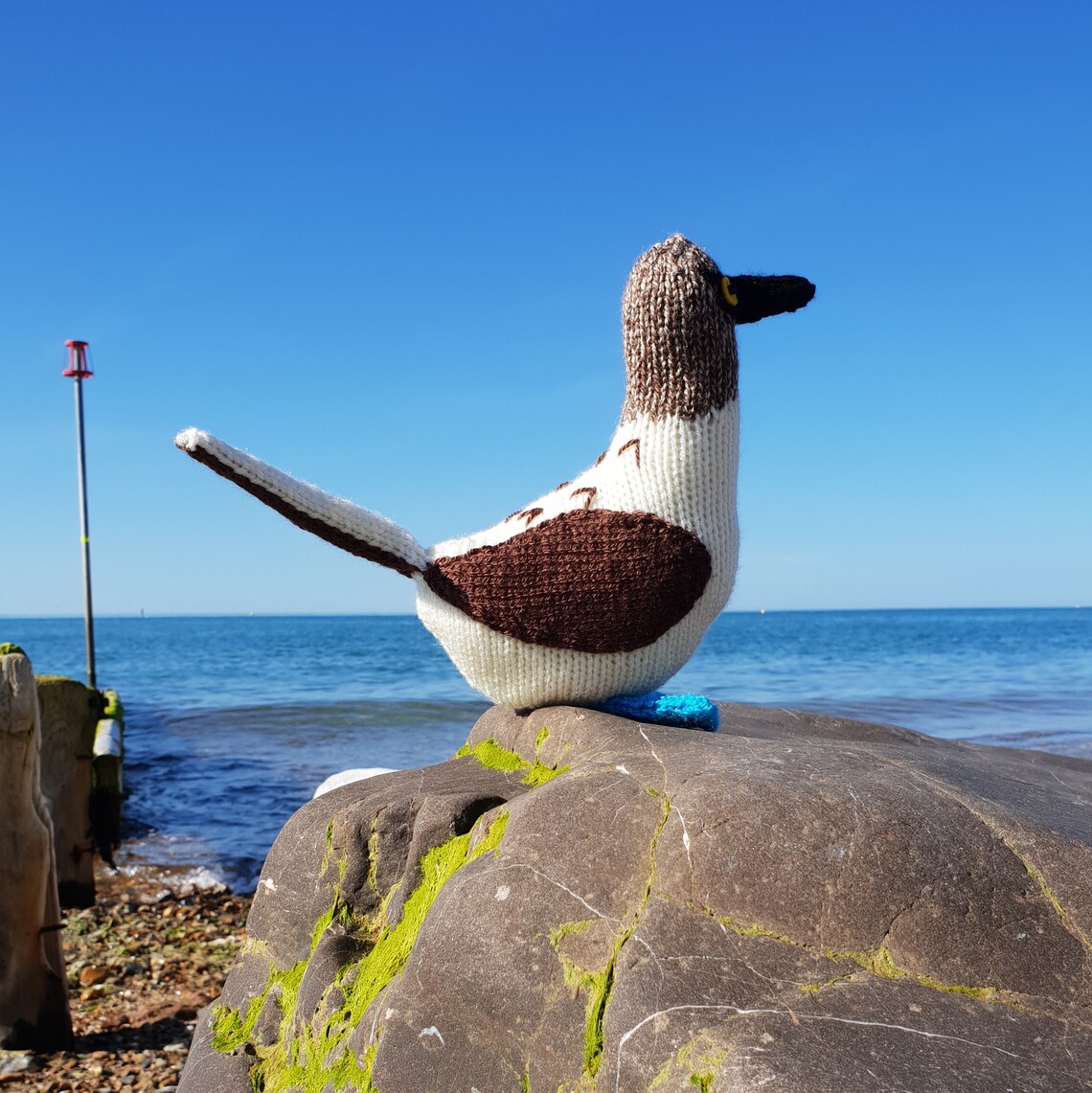 Blue Footed Booby Knitting Pattern - Bryan the Blue Footed Booby - Cute ...