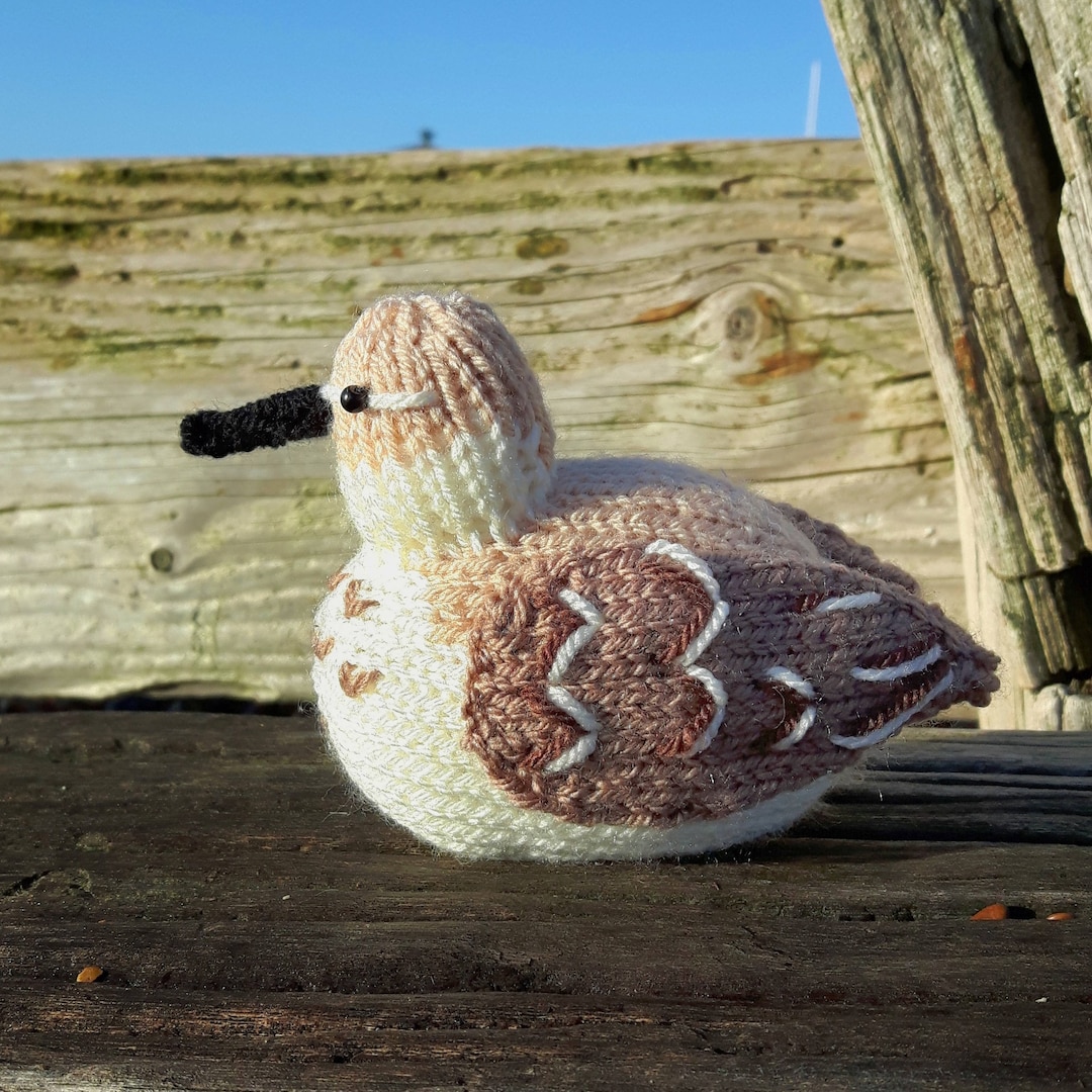 Western Sandpiper Knitting Pattern - Both Sitting and Flying Wading ...