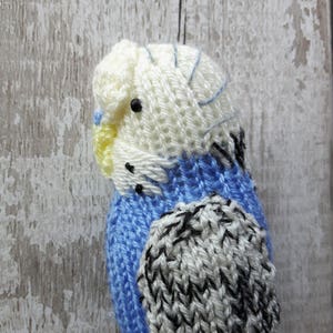 Parakeet Knit Kit - Sparky the Budgie Knit Kit - Cute Parakeet Knit Kit ...