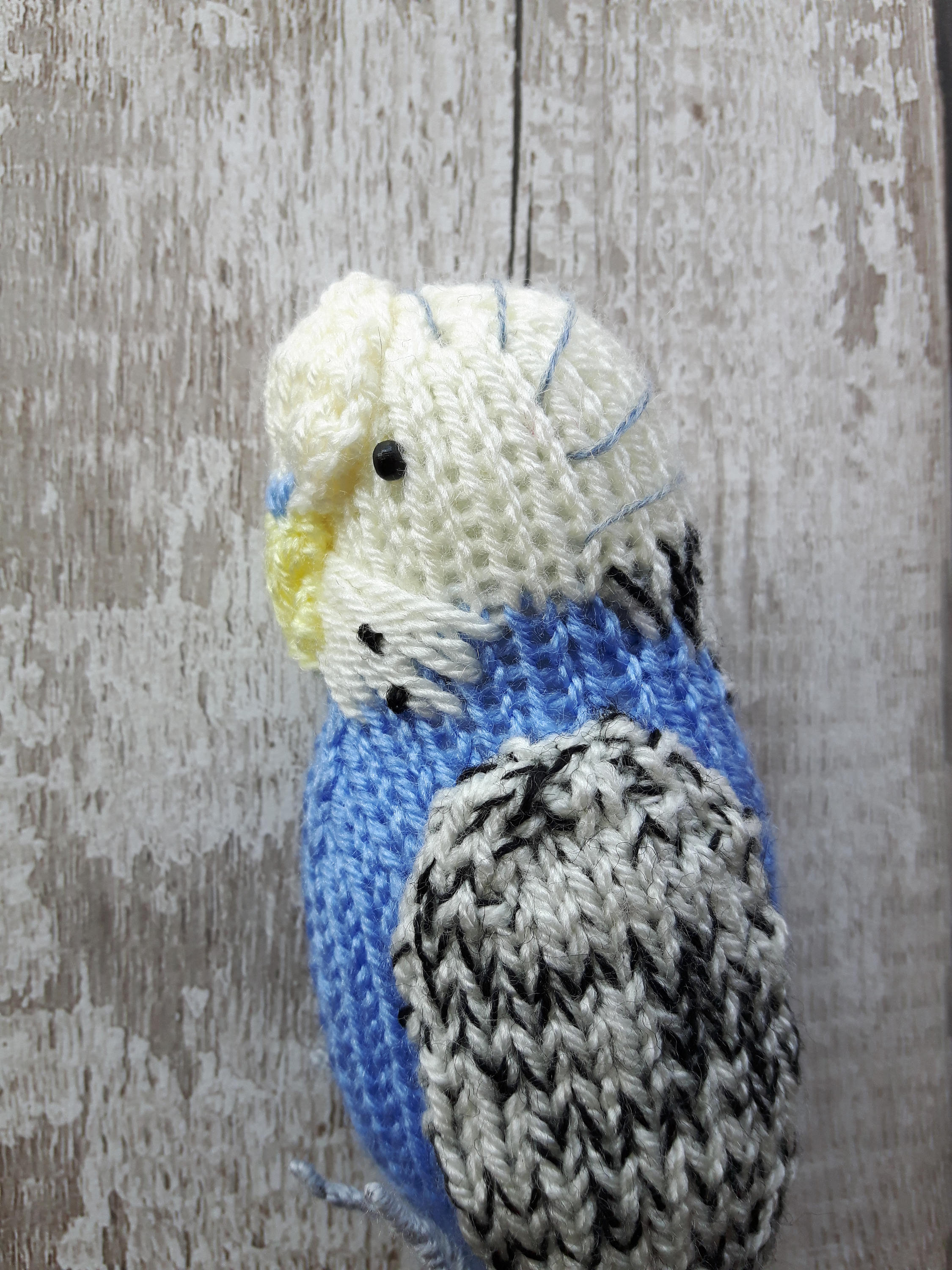 Parakeet Knit Kit Sparky the Budgie Knit Kit Cute Parakeet | Etsy UK
