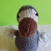 Dora the Dodo Knitting Pattern Cute Cuddly and Easy to Knit for ...