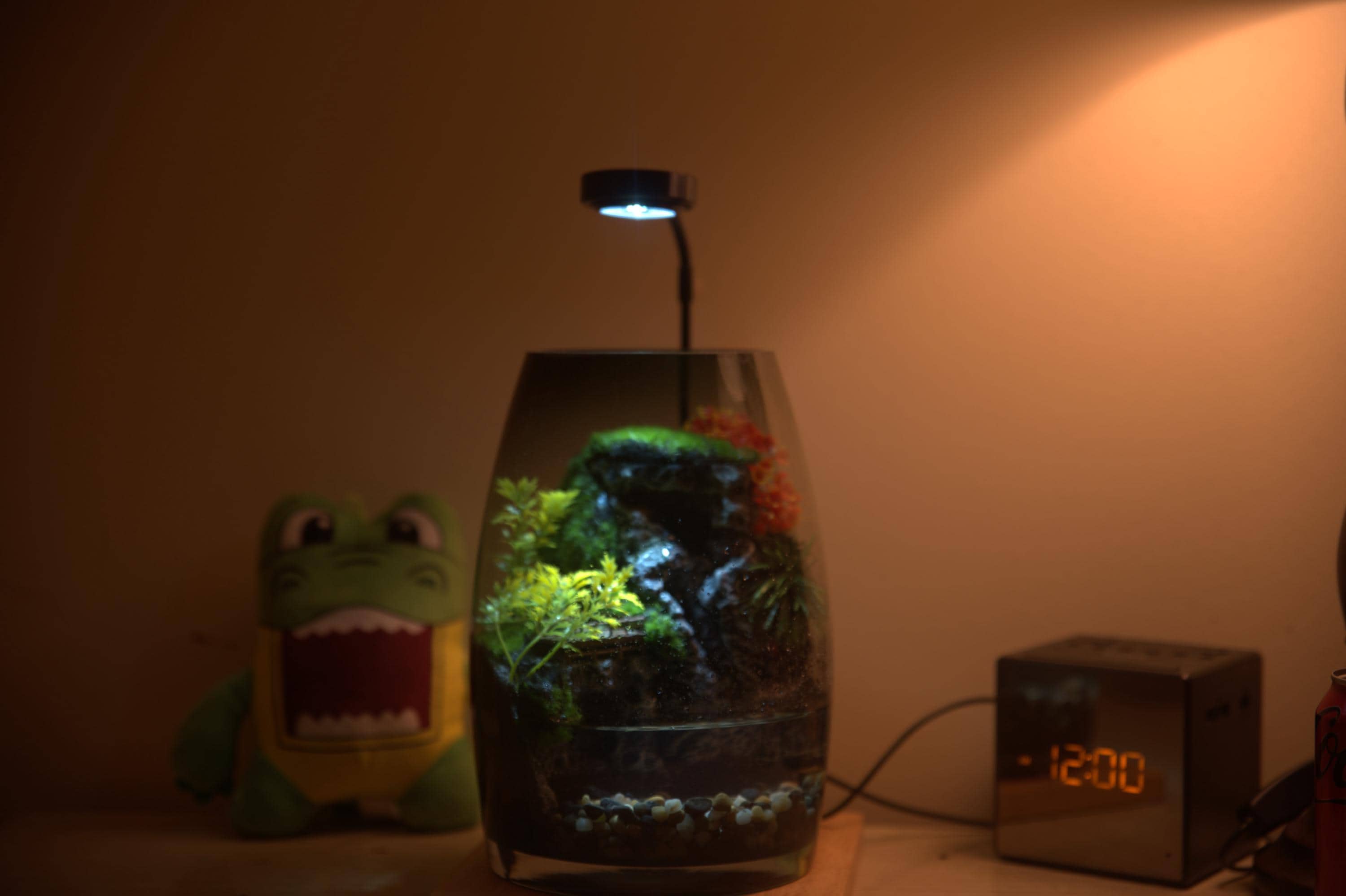 Mini Zen Micro Landscape Desktop Ecological Jar - Etsy